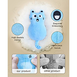 Feeko 5Pcs Catnip Toys, Cat Pillow Toys, Rattle Sound, Cat Toys for Indoor Cats Interactive with Cute Cat Toy Set, Cat Teething Chew Toy, Bite Resistant Catnip Toys Plush Gift