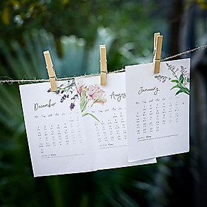 Mr. Pen- Wooden Clothes Pins, Natural Wood, 50 Pack, 2.9 Inch, Rust Resistant Clothes Pins Wooden, Clothes Pins for Classroom, Clothes Pins for Crafts, Large Clothes Pins Wood, Wooden Clothespins