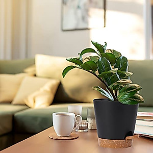 Whonline 6 Pack Self Watering Pots 8/7/6.5/ Inch Plastic Plant Pots Bottom Watering Plant Pots with Saucer Reservoir and Watering Lip for Indoor Outdoor Flowers Plants Windowsill