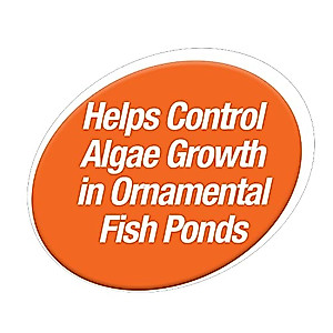 TetraPond Pond Block, 50 Count, Helps Control Algae Growth in Ornamental Fish Ponds