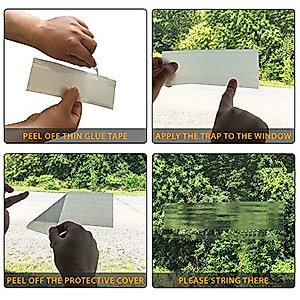 UCatch Transparent Window Fly Traps (13 Pack) to Catch House Flies, Moths, Gnats, Spiders, Bugs. Green, Eco-Friendly See Through Paper with NO Poison