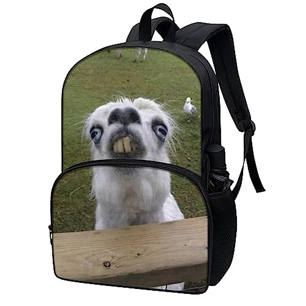 AmzPrint 17 Inch Funny Llama Backpack For Elementary Middle School Alpaca Backpack For Kids Child Back To School As Gift