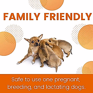 ZoGuard Plus Flea and Tick Prevention for Dogs (Small - 5-22 lb)