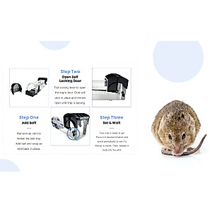 Home and Country USA Humane Mouse Trap - Our Mouse Traps are designed as a live mouse trap for those who want to quickly and easily remove a mouse the right way. (2)