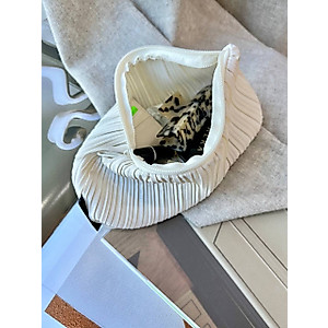 BLUEORB Each Bag Casual Washable Pleats Women's Versatile 100% Recycled Polyester Daily Shoulder Bag Tote Hobo Pouch Set (Butter Cream)