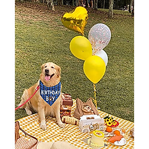 Waghaw Dog Birthday Party Supplies, Dog Birthday Bandana Girl Boy Scarf and Dog Birthday Hat for Small Medium Large Dogs Pets (Blue one, Small (Pack of 1))