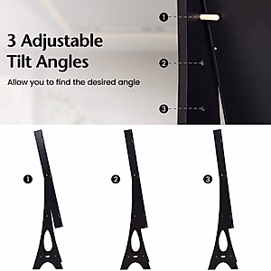 COSTWAY 12 LED Mirror Jewelry Cabinet, Freestanding Jewelry Storage Organizer w/Full Length Mirror, Large Capacity Jewelry Armoire w/Bottom Shelf, Mirror with Jewelry Storage for Women Girls (Black)