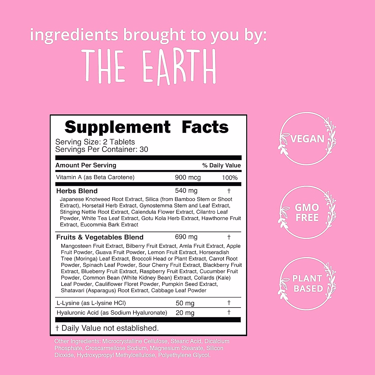 Vegan Collagen Builder w/ Hyaluronic Acid – Hair Skin and Nails Vitamins for Youthful Glow | Keratin & Elastin Booster | Bones, Cartilage, Tendons | Vitamin A, L-Lysine | Vegetarian | Non-GMO, 60 Ct