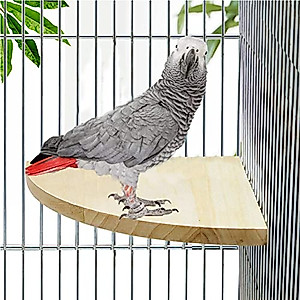 Litewoo Bird Parrot Corner Perch Flat Platform Stand, Easy to Install, Safe and Stable, Smooth Polishing Without Hurting Feet, Solid Hardwood Bird Cage Perches（XL）