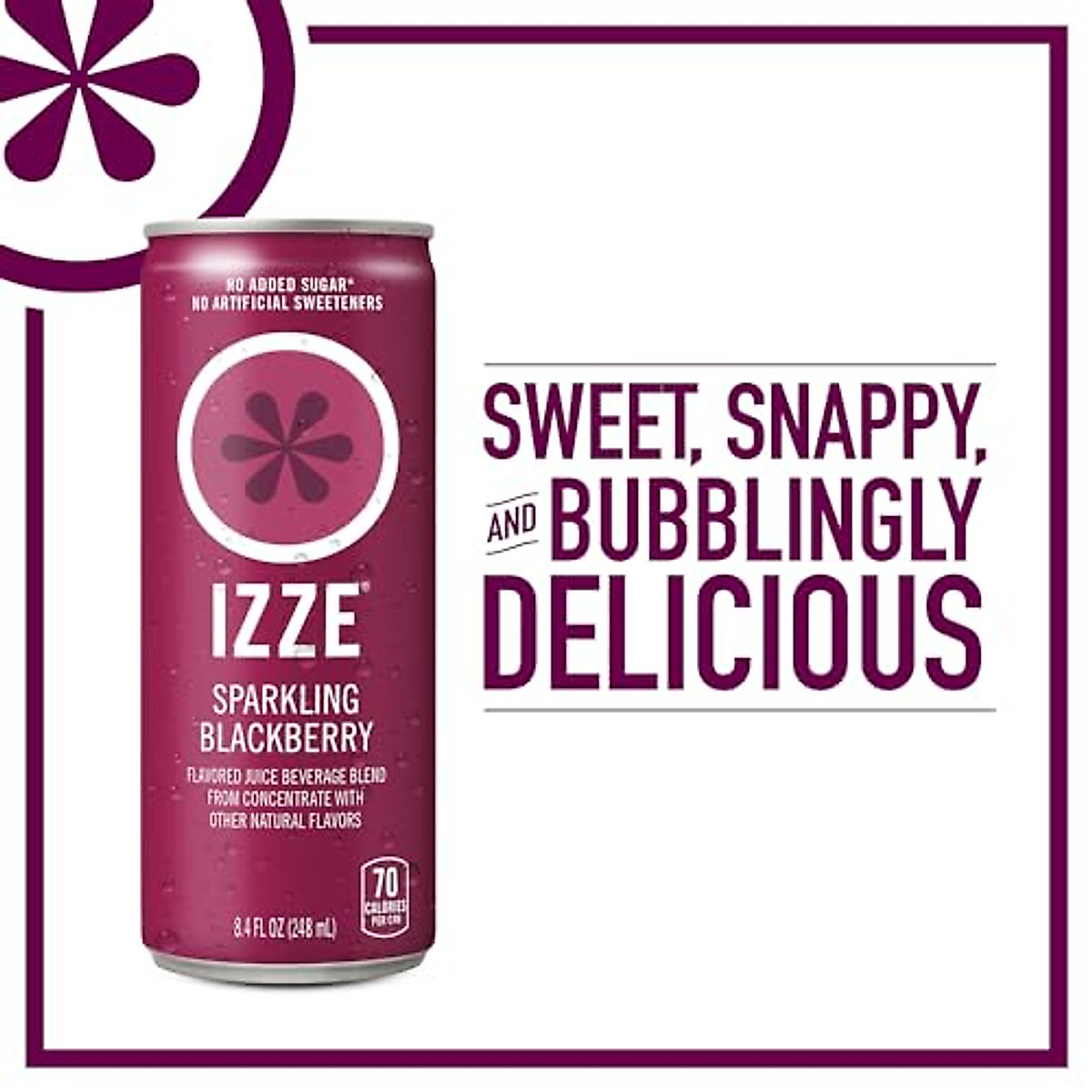 IZZE Blackberry Juice, No Sugar Added, 8.4 oz., 24/Carton