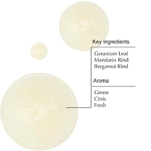 Aesop Geranium Leaf Body Cleanser - Invigorating Cleansing Gel - Alternative to Conventional Soap - 16.9 oz