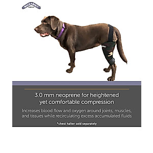 WALKABOUT Knee Brace (Small Left (7-9")