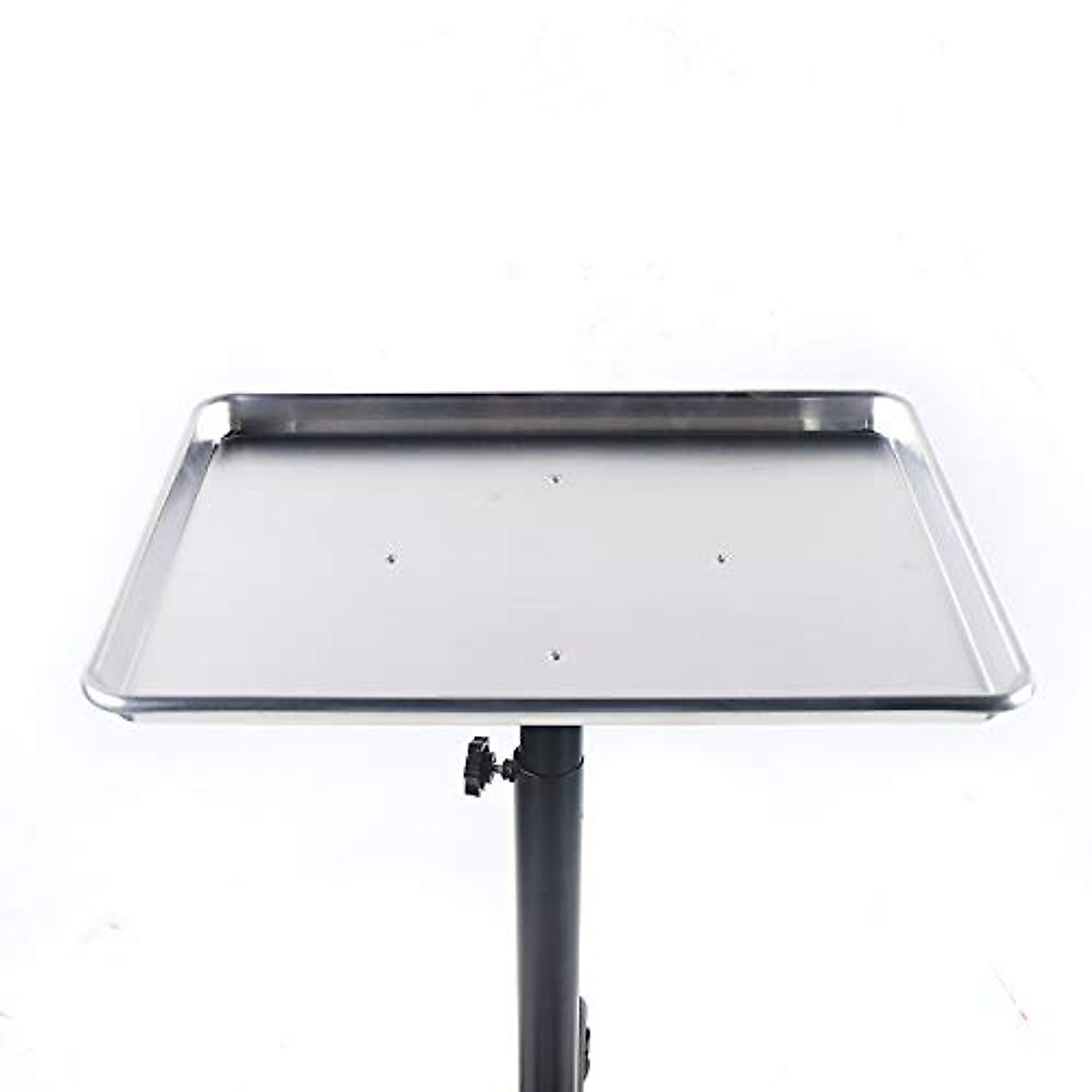 Adjustable Height Salon Rolling Alu Tray Cart+Wheel Hairdressing Tool Hair Stylist Storage Trolley for Salon Beauty Spa Tattoo Mobile Beauty Spa Service Instrument USA Stock (Silver)