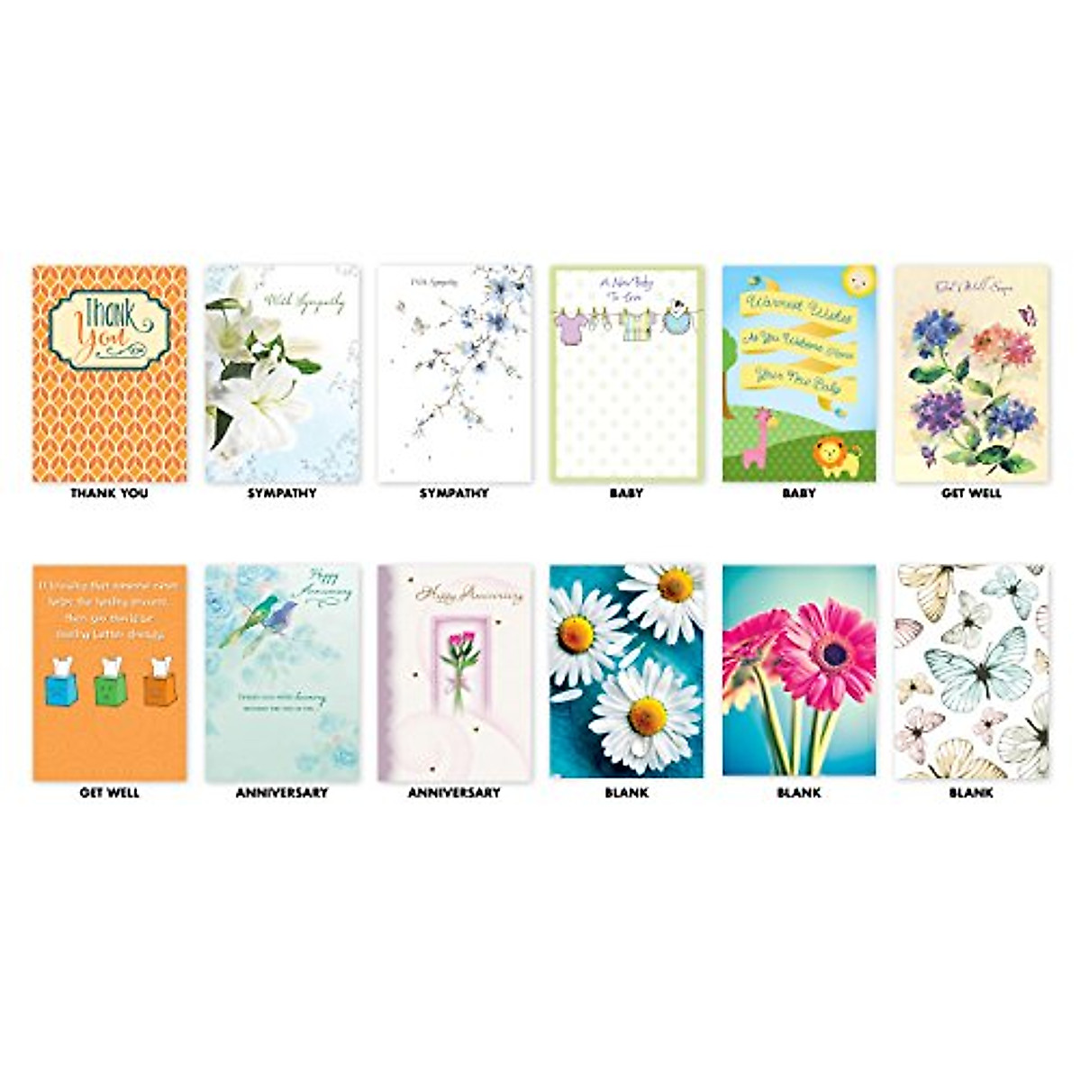 Designer Greetings All Occasion Greeting Card Assortment (24 Cards with Envelopes in a Keepsake, Floral Organizer Box) – Birthday, Thank You, New Baby, Anniversary, Sympathy, Get Well, Blank