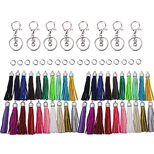 PAMIR TONG 100pcs Faux Suede Leather Bulk Sets Tassels for Decorations, Key Chain, Earring, Cellphone Straps,Jewelry Accessories,DIY Craft (Silver, Keychain)