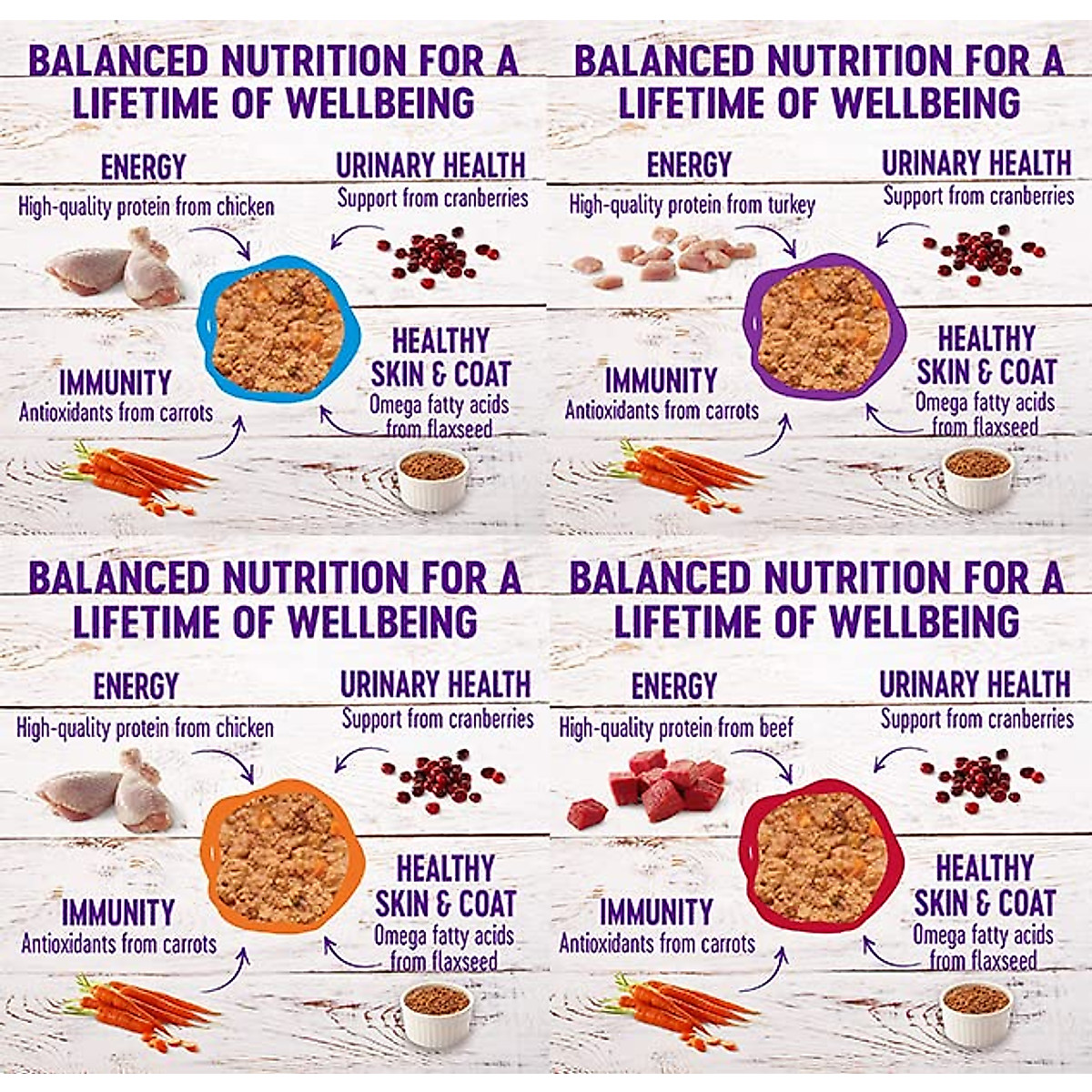 Wellness Natural Premium Canned Cat Wet Food Pate - 12 Pack Cans Variety Bundle Pack 4 Flavor - (Chicken,Beef, Salmon & Turkey) W/HS Pet Food Bowl - (5 Oz Cans)
