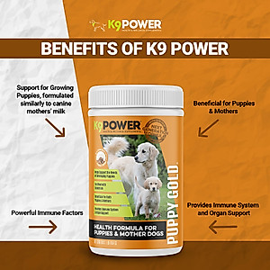 K9 Power Puppy Gold 1 lb - Supplement for Growing Puppies & Nursing Mothers - Essential Nutrients for Healthy Growth & Development - 45 Scoops