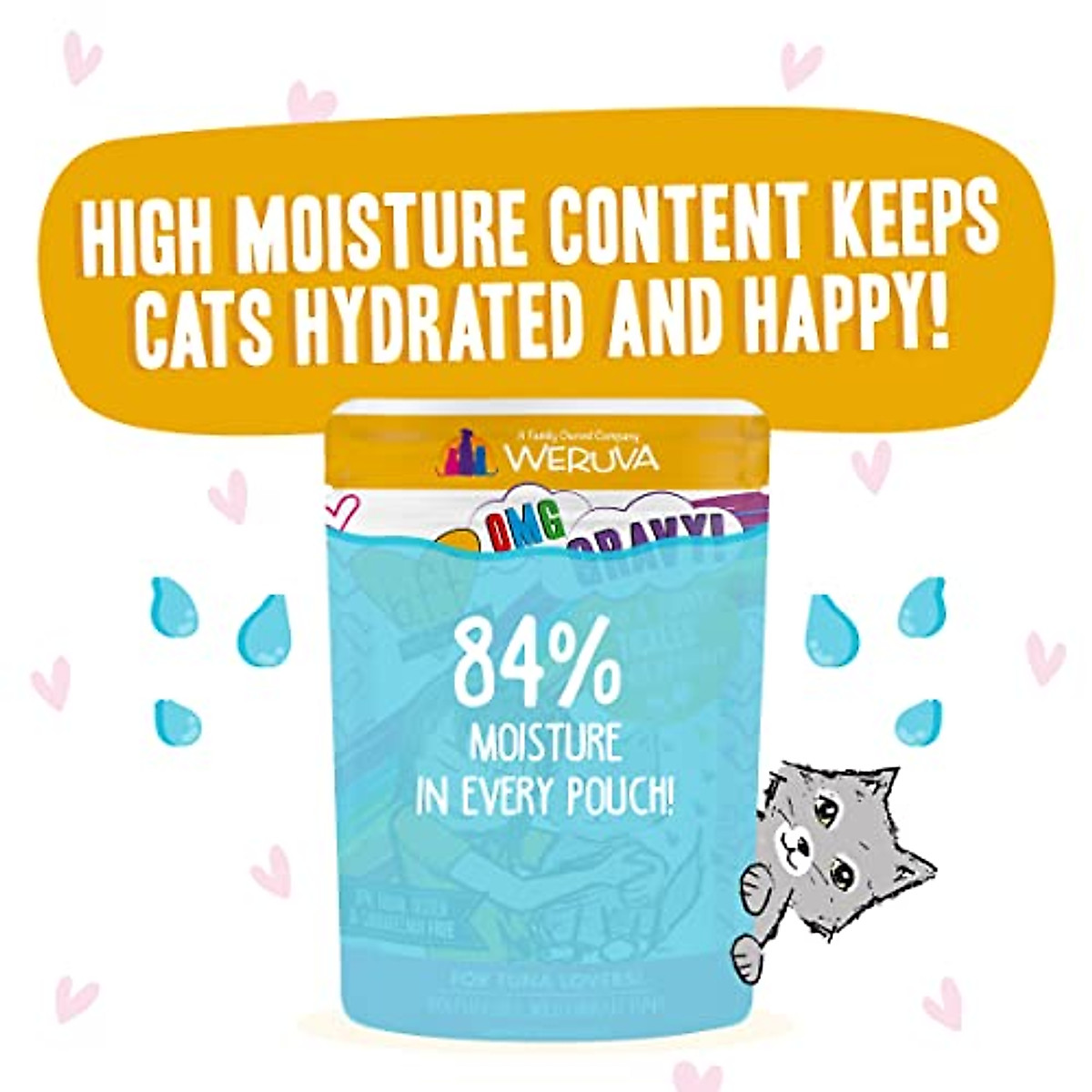 Weruva B.F.F. OMG - Best Feline Friend Oh My Gravy!, Tuna & Turkey Tickles with Tuna & Turkey in Gravy Cat Food, 3oz Pouch (Pack of 12)