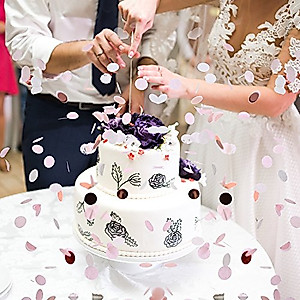 TecUnite Rose Gold Pink Confetti Tissue Paper Table Confetti, 1.76 oz