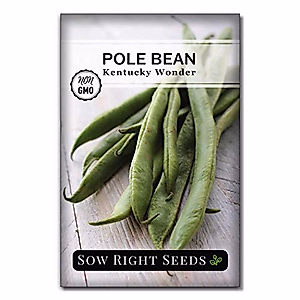 Sow Right Seeds - Pole Bean Seed Collection for Planting - Individual Packets Kentucky Wonder and Rattlesnake Pole Bean, Non-GMO Heirloom Seeds to Plant an Outdoor Home Vegetable Garden