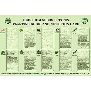 Herb Garden Windowsill Starter Kit - 10 Herb Indoor Kitchen Growing Herb Complete Set Including Everything for Beginner - DIY Garden Gifts for Kid Adult