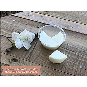 Scented Wax Melts Variety Pack - Hand Poured Natural Soy Candle Wax Melts for Warmers, 6 Resealable Cups (2.2 Ounces Each, 13.2 Ounces Total),Up to 40 Hours of Scent Throw Per Quarter Cup (Sweets)
