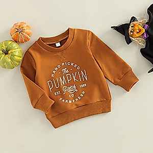 Toddler Baby Girl Boy Halloween Outfit Pumpkin Patch Crewneck Sweatshirt Pullover Sweater Fall Halloween Clothes (Hand Picked The Pumpkin Patch-Brown,6-12 Months)