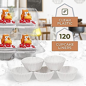 24 Compartment Mini Cupcake Containers, Set of 5 Disposable Plastic High Dome Lid Cupcake Boxes for Transporting Small Cupcakes with Tall Icing