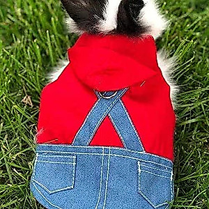 Anelekor Small Pet Costume Rabbit Clothes Ferret Hoodies Sweatshirt Bunny Vest Harness and Leash Set Kitten Sweater Small Animals Outfits for Chihuahua Kitty Mini Dog and Small Breeds (A, S)