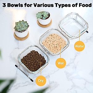 Hannadepot Elevated Cat Bowls, 15° Tilted Glass Raised Cat Food Bowl with Stainless Steel Stand, 3 Glass Cat Bowls and 4 Anti Slip Feet, Suitable for Cats and Little Dogs