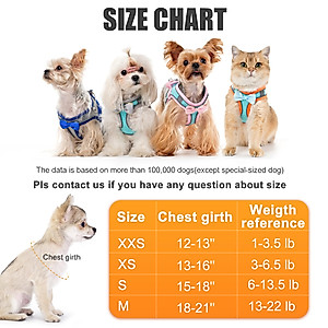 WOCUME Dog Harness with Leash Set, Step-in Breathable Puppy Cat Dog Vest Harnesses, No Pull Adjustable Reflective Puppy Harness with Soft Padded Vest for Extra-Small/Small Medium Large Dogs and Cats