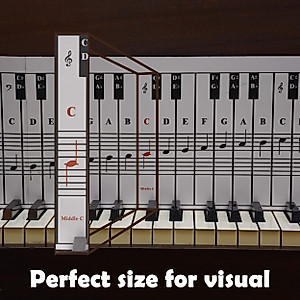 QMG Piano and Keyboard Note Chart for 88 Keys, Use Behind the Keys, Ideal Visual Tool for Beginners Learning Piano or Keyboard, Easy to Set Up