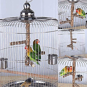 ChummyPet Bird Perch Parrot Nature Wood Stand Activity Branch Stand Bite Toy Natural Birdcage Platform pet Toys Playground for Cockatiel Parakeet, H 25CM