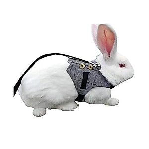 Wontee Rabbit Vest Harness and Leash Set Adjustable Formal Suit Style for Bunny Kitten Small Animal Walking (M)