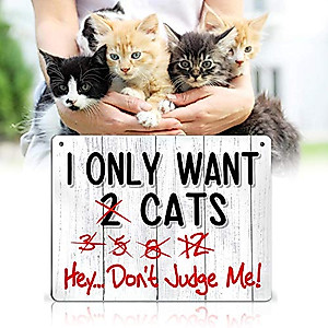 Bigtime Signs Cat Sign - I Only Want Cats - Cat Decor Funny Gag Gifts for Window, Office, Bedroom Decor - Funny Cat Gifts for Indoor or Outdoor use - Best Cat Gifts For Cat Lovers and Cat Decorations