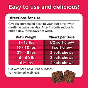Solid Gold Cranberry Supplement for Dogs & Cats for Urinary Tract Health - Berry Balance Chews UTI + Bladder + Kidney Support for Cats and Dogs with Antioxidants