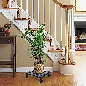 ALLADINBOX Plant Caddy 2 Set 12 inch Wooden Heavy Duty Plant Stand with Lockable Caster Wheels Plant Dolly Indoor/Outdoor Holds Up 150 Lbs Strong and Sturdy Design, Charcoal