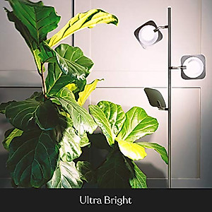 Brightech Tree Floor Lamp for Living Rooms & Offices, Dimmable Standing Lamp for Bedroom Reading, LED Spotlight Floor Lamp, Tall Lamp with Adjustable Panels for Minimal Space Use - Black