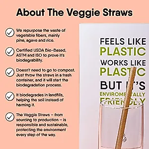 100% Biodegradable Straws (Boba Straws 100 PCS)