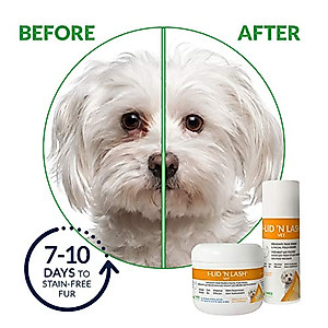 I-LID ’N LASH Vet Dog Eye Wipes - Best Tear Stain Remover for Dogs (60 Wipes) | Prevents Puppy Tear Stains with Hyaluronan | Cat Eye Wipes for Discharge - No Antibiotics or Harmful Chemicals