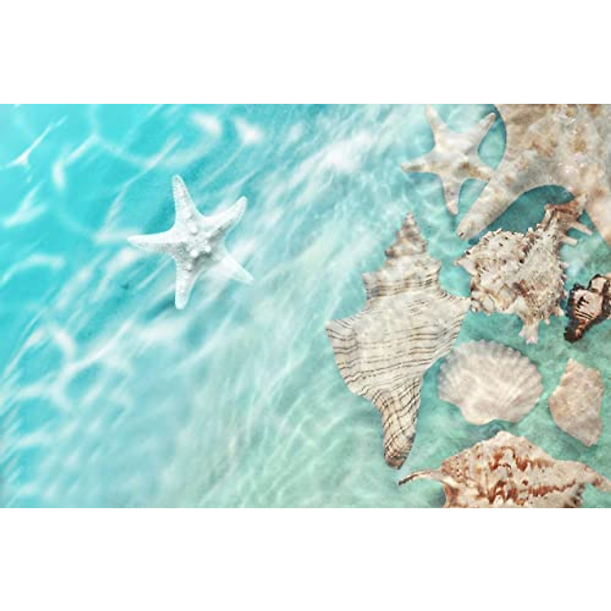 Teal Ocean Beach Theme Shell and Starfish Area Rug for Bedroom Playroom Living Room Washable Soft Funky Cute Dining Room Carpet Indoor No-Slip Hallway Kitchen Bathroom Rug 3x8