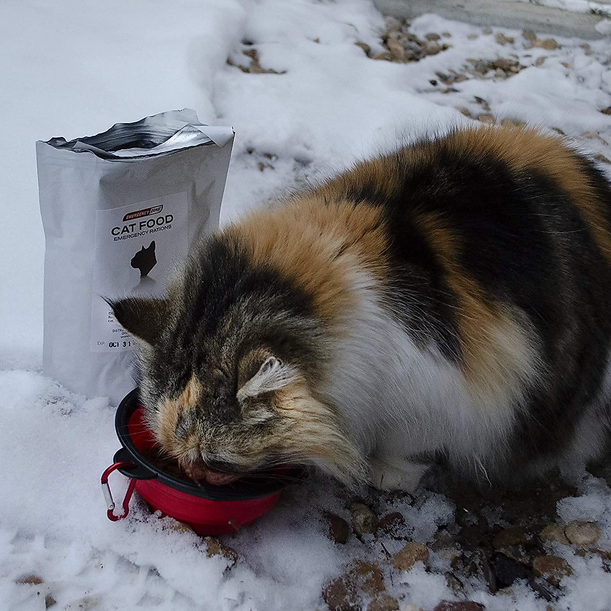 Emergency Zone - Cat Emergency Survival Kit - Bug Out, Emergency, Travel Kits, First Aid - Deluxe