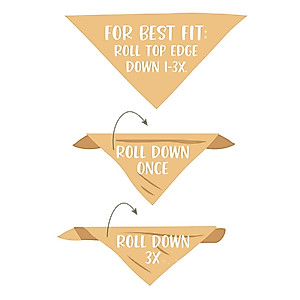 Dog Bandana Pregnancy Announcement Big Brother Baby Reveal Oatmeal Cream Minimal Neutral Color Announcement to Family (Large)