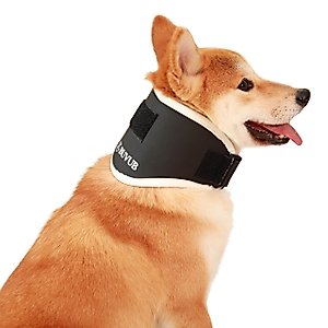 BUVUB Dog Neck Brace Supports Pet's Necks with Intervertebral Disk Disease (IVDD) Cervical Vertebral Sprains Instability Neck Brace for Dog Pet Cervical Collar (Wide M)