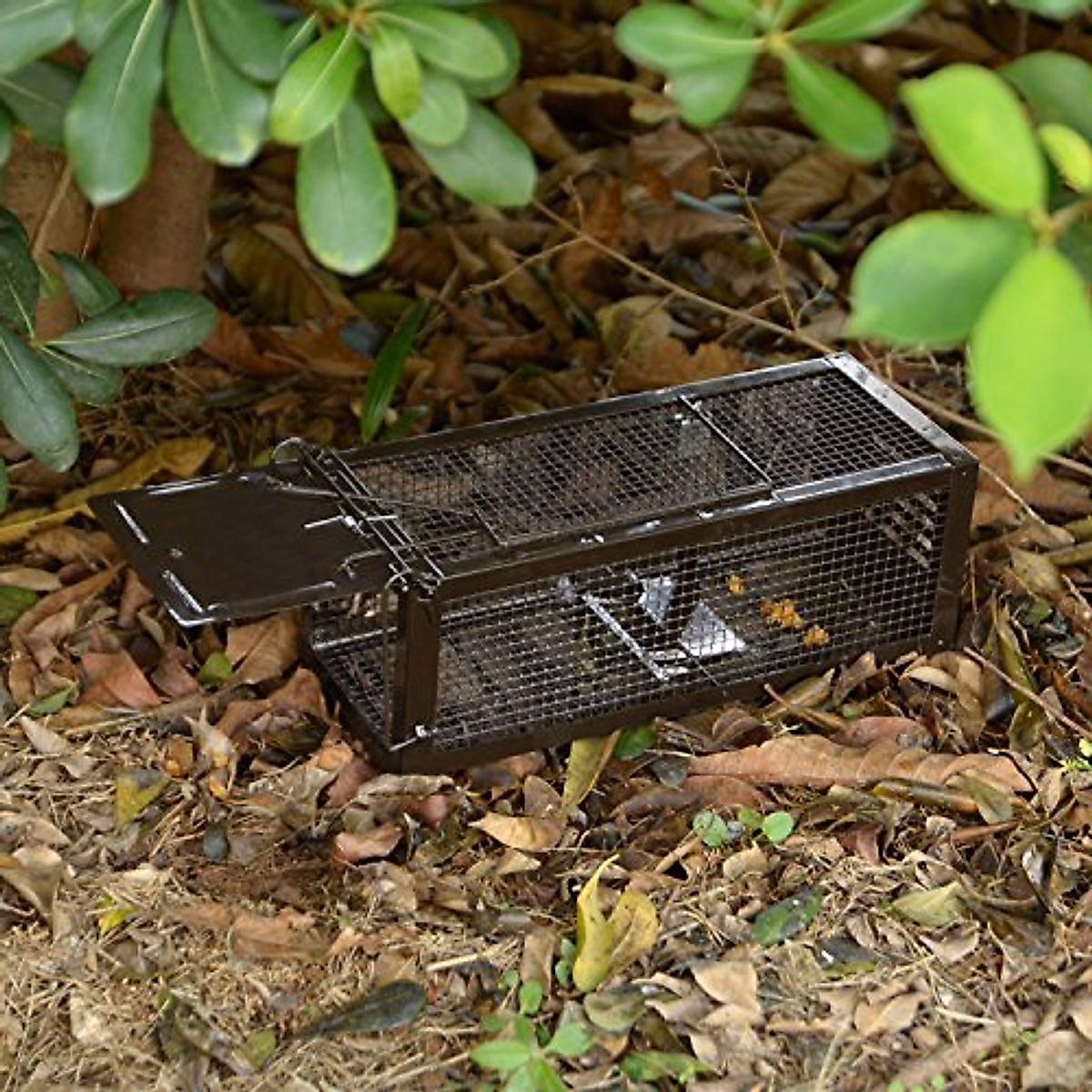 RatzFatz Mouse Trap Humane Live Cage, Catch and Release Mice, Rats, Chipmunks, Small Squirrels and Other Rodents, Sensitivity Adjustable, Pedal Design