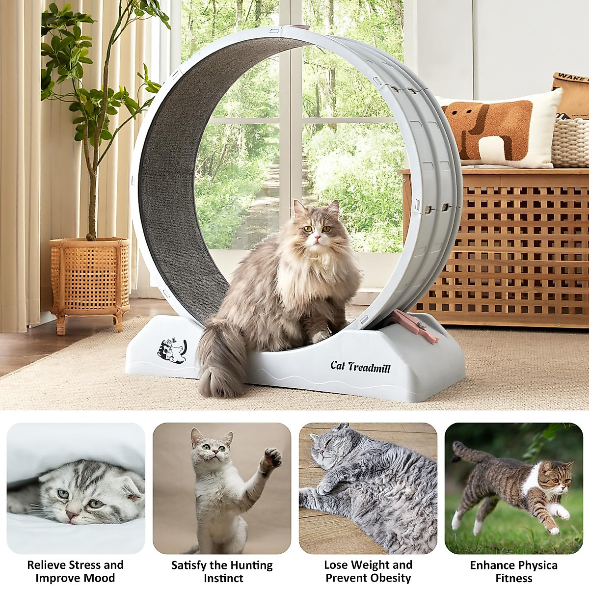 EXQ Home Cat Exercise Wheel, 31.5 Inch Cat Treadmill for Indoor Cats, Plastic Cat Wheel with Noiseless Carpeted Runway, Cat Running Wheel for Cat's Fitness & Health (Grey)
