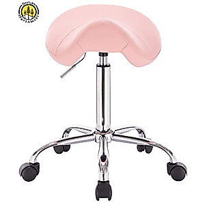DevLon NorthWest Professional Saddle Stool Series Hydraulic Swivel Comfortable Ergonomic with Heavy Duty Metal Base for Clinic Dentist Spa Massage Salons Studio (LIGHT PINK)