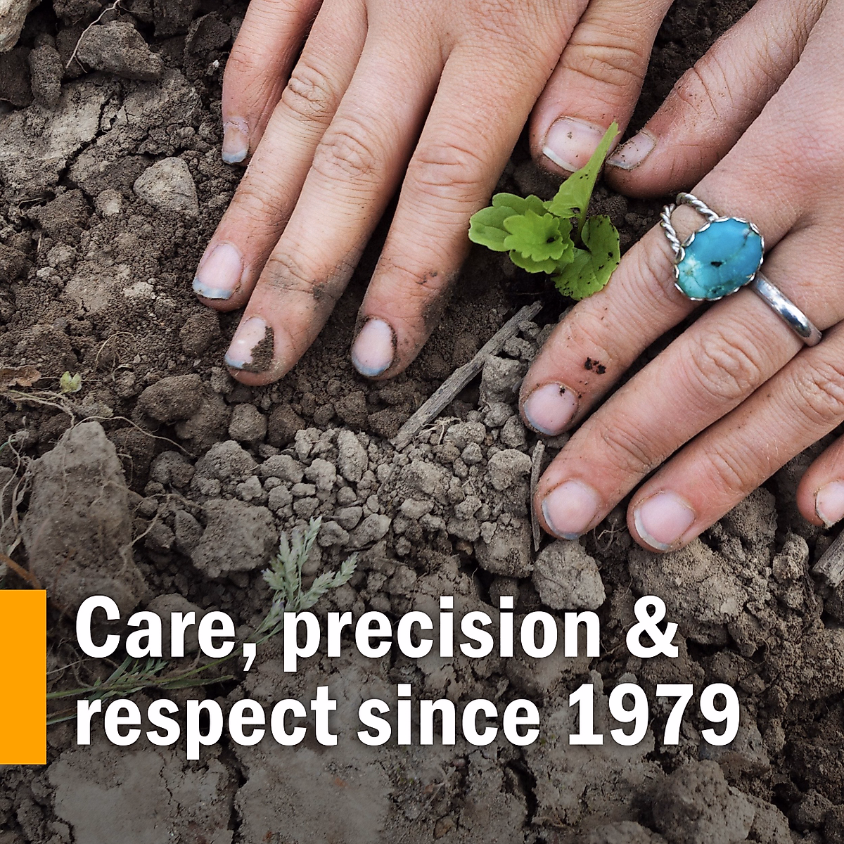 Herb Pharm Certified Organic Stoneroot Blend Liquid Extract for Cardiovascular and Circulatory Support-4 oz