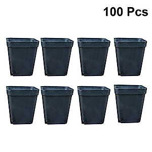 NUOBESTY 2 Inch Black Square Flower Pots Small Plastic Plant Pots 100PCS Square Flower Plant Pots Mini Succulent Pot for Cactus Bonsai