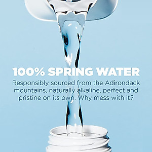 JUST Water - 100% Spring Water, Naturally Alkaline, 8.0 pH - Plant-Based, BPA Free, Sustainable and Fully Recyclable Boxed Water Bottle - Eco-Friendly - 11.2 Fl Oz (Pack of 24)